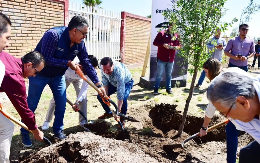 Crean otro espacio verde en el CBTIS 110 con 100 árboles – Contexto de ...