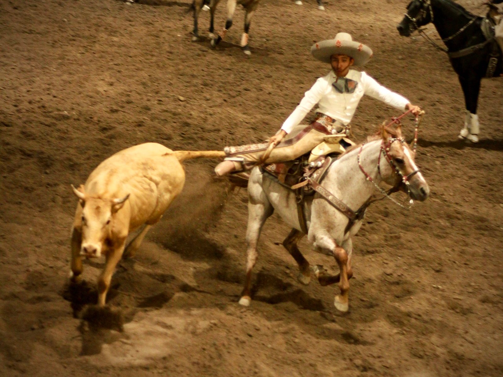 Segundo coleadero nocturno en la Fenadu – Contexto de Durango