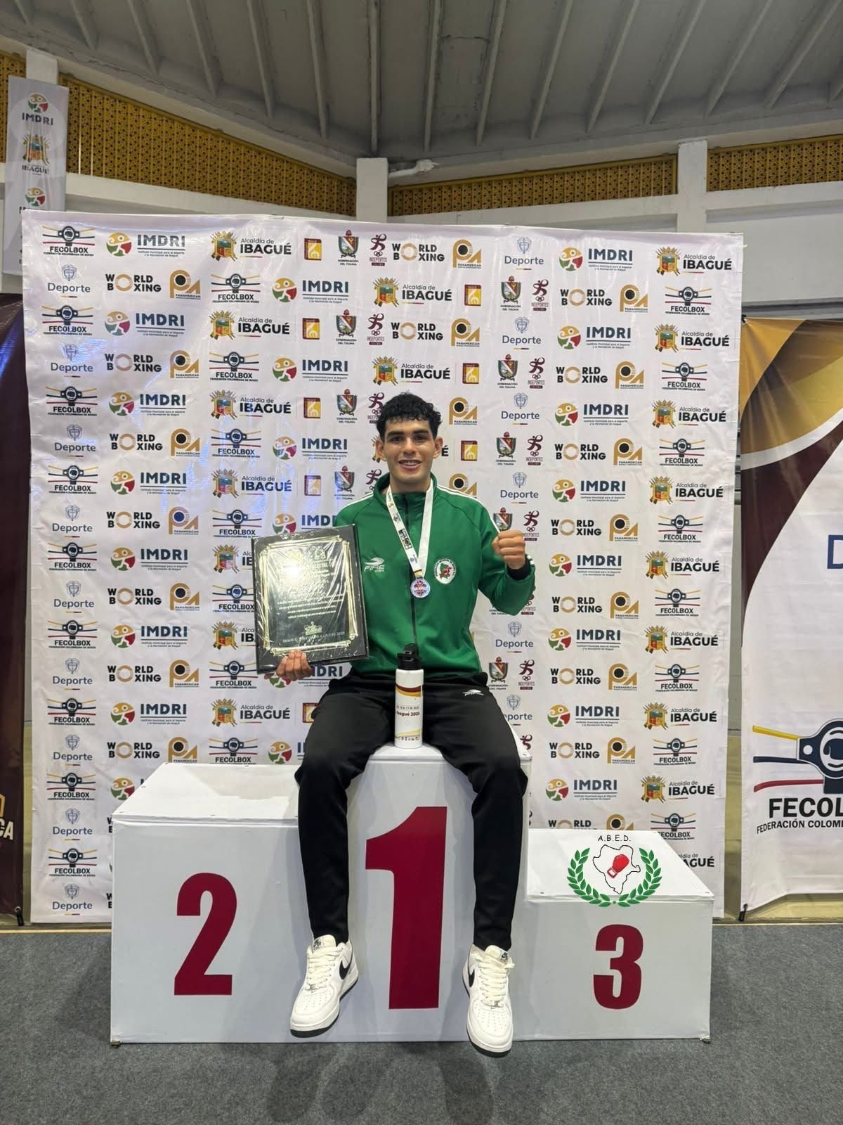 ¡Puños de oro! Hugo Barrón conquista la Copa América en Colombia ...