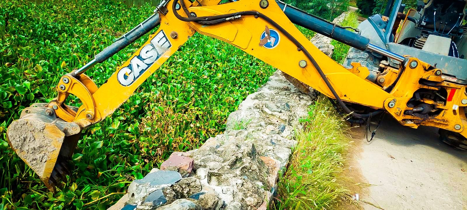 Retiran lirio acuático en el “Puente del Diablo” para prevenir ...